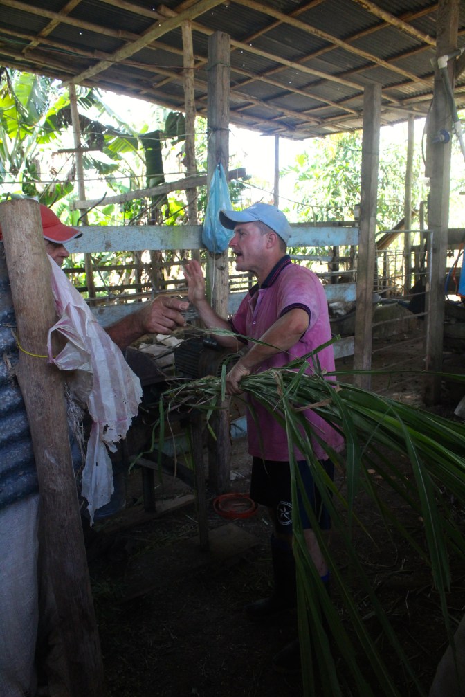 Santa Rosa de Pocosol Homestay Photos – White Butterfly Adventures