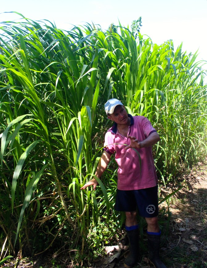 Santa Rosa de Pocosol Homestay Photos – White Butterfly Adventures