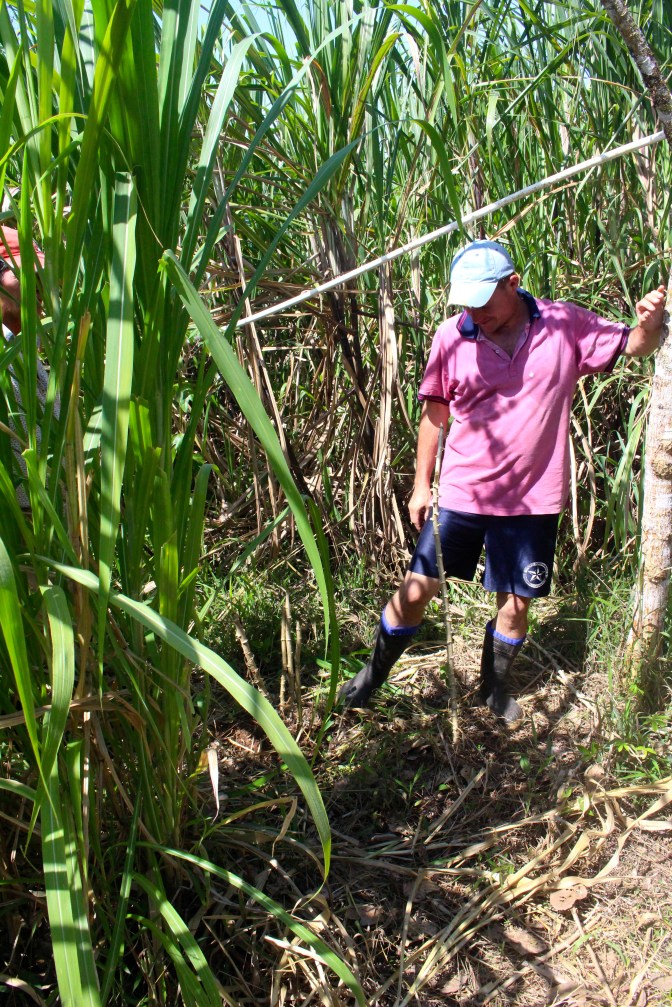 Santa Rosa de Pocosol Homestay Photos – White Butterfly Adventures