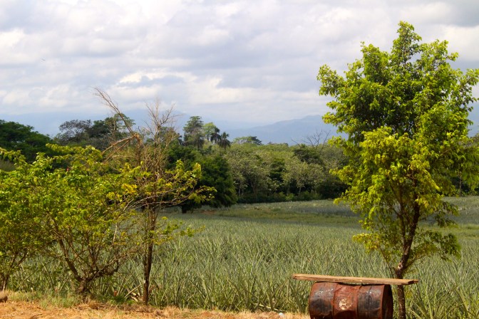 Santa Rosa de Pocosol Homestay Photos – White Butterfly Adventures